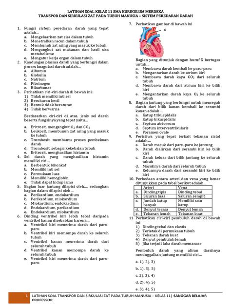 Kunci Soal Latihan Materi Transpor Dan Sirkulasi Zat Pada Tubuh Manusia-Sistem Peredaran Darah ...