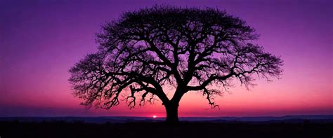 Trigger Warnings Taming Trauma