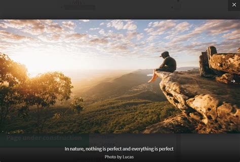 Best Vue Js Gallery Components To Showcasing Images In An Elegant Way Update Vue Script