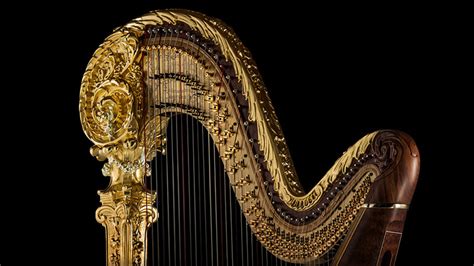 주코스모스악기 이벤트