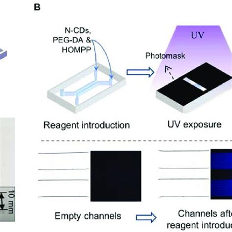 Illustration Of Fabrication Procedures For The Microfluidic Chip A
