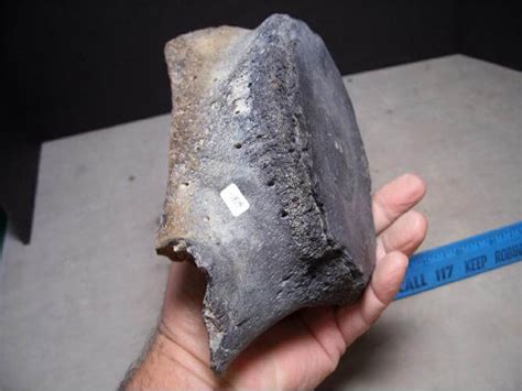Large Fossilized Sperm Whale Vertebra 010516k The Stones Bones Collection