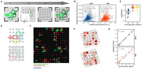 Evaluating Pixel Cell Deconvolution In Imaging Ms Based Spatial
