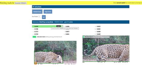 Checkbox Problem Support Wild Me Community Forums