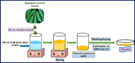 Schematic Representation Of Synthesis Of Sno2 Nss Download Scientific Diagram