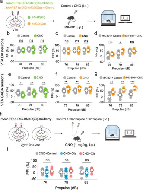 Bidirectional Regulation Of The Vta Gaba Neurons Rather Than Da Download Scientific Diagram