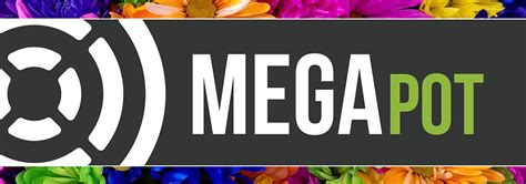 5 Hydroponic Tips To Increase Your Yields Megapot