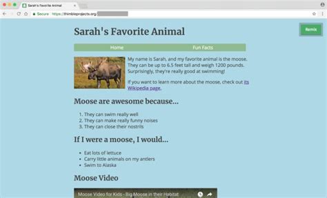 Teach You Html From Basics Step By Step By Ewebconnect Fiverr