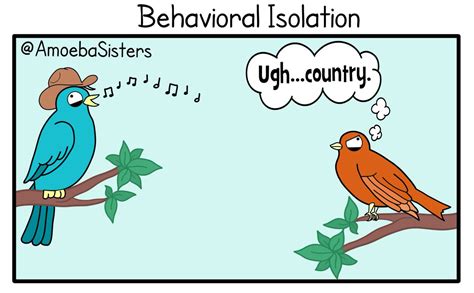 Behavioral Isolation Example Birds