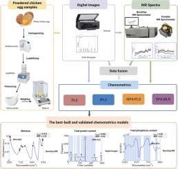 使用数字图像近红外光谱数据融合和多变量校准测定鸡蛋粉样品中的水分总蛋白和磷含量 Journal of Food Composition and Analysis X MOL