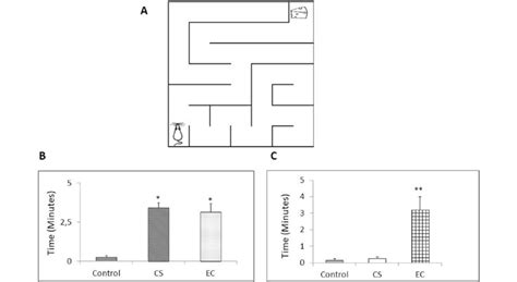 A Maze Apparatus For Assessment Of Cognitive Learning And Memory Download Scientific Diagram