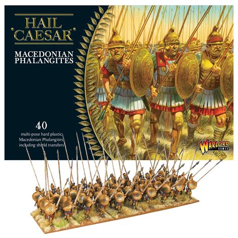 Macedonian Phalangite