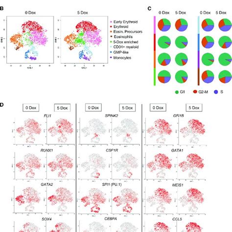 Induction Of Runx1 Eto In The Cd45 Cd34 Runx1c Population Results In Download Scientific