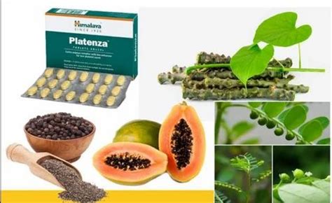 Himalaya Platenza Tablets Helps in Boosts Platelet Count Healthcare ...
