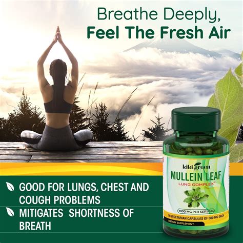 Kiki Green Mullein Leaf Herb Capsules 1000mg Lung Cleanse And Detox