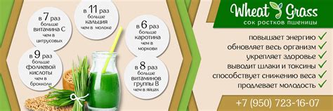 Сок ростков пшеницы Витграсс 74. Магнитогорск | Хотите чувствовать себя ...