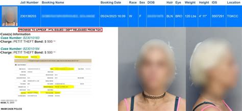 Disturbing Examples Of Miami Dades Rogue Release Program Pretrial