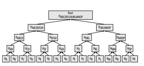 区块链 Merkle树merkle树根节点的hash存储在什么地方 Csdn博客