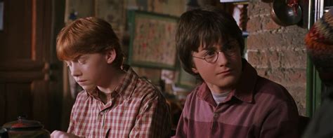 Now Harry You Must Know All About Muggles Tell Me What Exactly Is The Function Of A