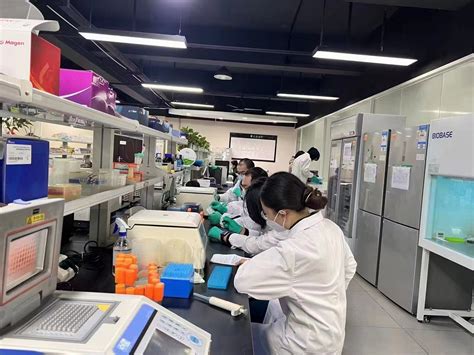 轻松鉴别细胞侵袭和迁移