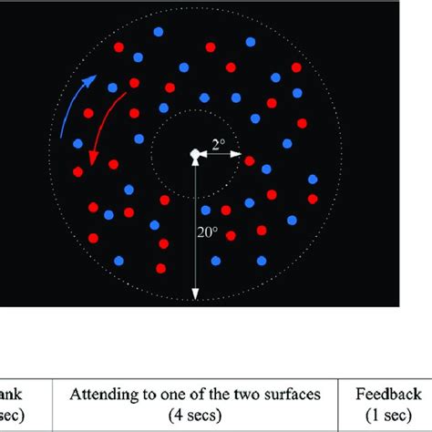 The Experimental Paradigm A Stimulus B Timing Download Scientific Diagram