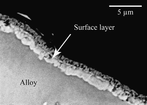 Displays The Microstructures Of The Reference A B And C And Download Scientific Diagram