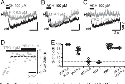 Figure 3 From Cholinergic Filtering In The Recurrent Excitatory Microcircuit Of Cortical Layer 4