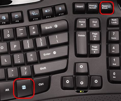 Locating My Cordless Desktop Wave Scroll Lock Key Logitech Support Download