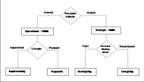 UNRAVELING THE ROLE OF COGNITION IN THE INTERNATIONALIZATION PROCESS