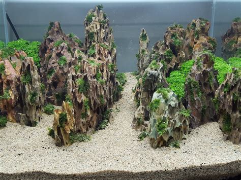 Dragon Stone Ohko Rock Freshwater Mixed Sizes By The Lb Aquarium