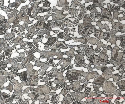 Alpha Beta Titanium Alloy Ti 6al 4v Metallography With Neel