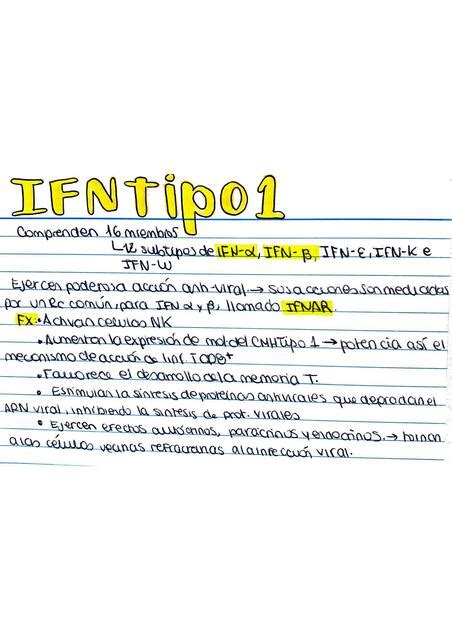 Ifn Tipo 1 E Ifn Gamma Glomerulito Udocz
