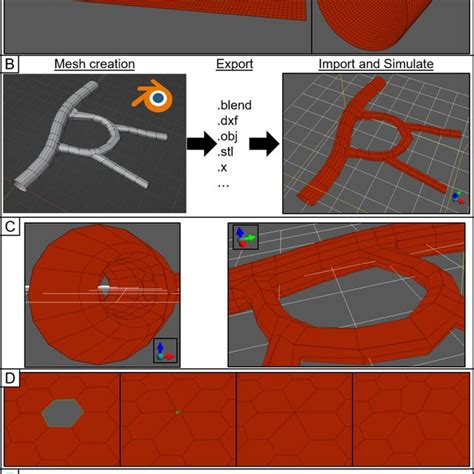 Select Examples Of Vertex Model Capabilities In Tissue Forge A Mesh Download Scientific