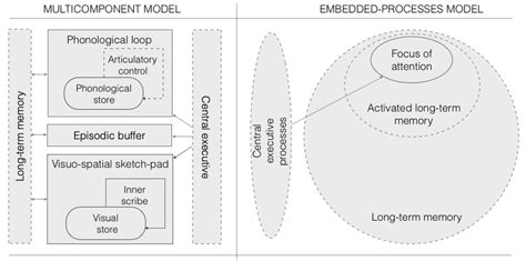 comparison of the multicomponent and embedded processes models of