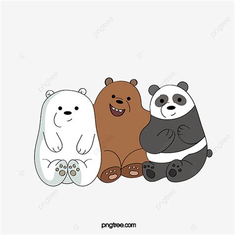 من ناحية رسم كرتون كرتون دب أبيض كبير دب بنى Png والمتجهات للتحميل مجانا