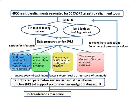The Workflow Of The Multiple Alignment Based Svm Model Quality