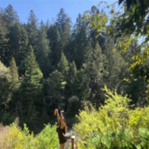 Pica Mellquist University Of California Berkeley Ca Ucb