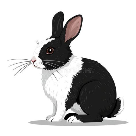 Illustration Of A Rabbit With A Black And White Coat In A Sitting