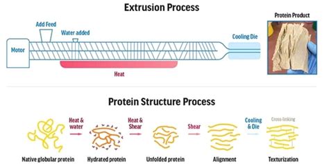 Aishwary Dubey On Linkedin Proteintexturization