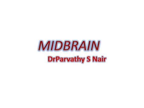 Midbrain Basic Anatomy And Applied Aspects Ppt