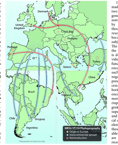 Phylogeography Of Methicillin Resistant S Aureus Strain St239 A Map Download Scientific