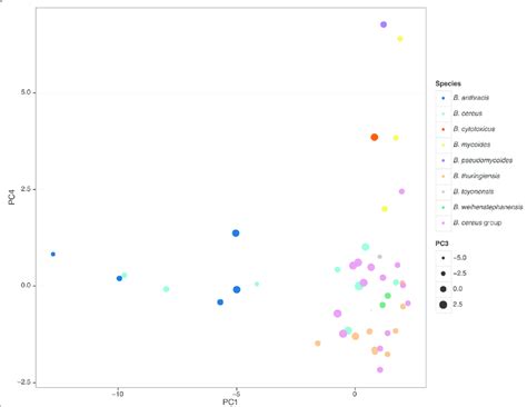 PCA Clustering Of B Cereus Group Isolates Based On Virulence Gene Download Scientific Diagram