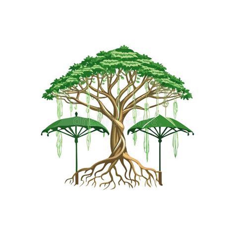 Conceptual Banyan Tree With Umbrellas Nature Symbolism Unique
