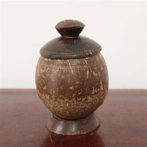 Shell Container Etsy