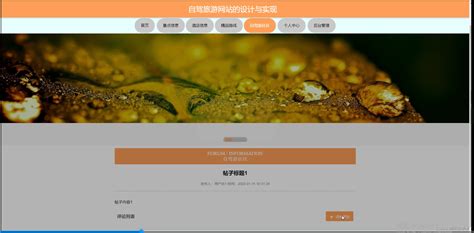 Springboot毕设项目自驾旅游网站的设计与实现gah85（javavuemybatismavenmysql）自驾游俱乐部网站的