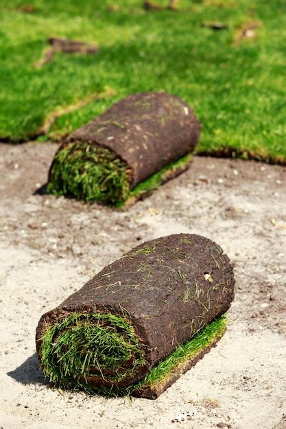 Premium Photo Green Lawn Grass In Rolls
