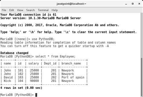 Python MySQL Insert Operation