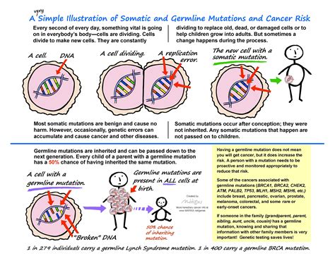 Carefree Artist Somatic Mutations And Germline Mutations Illustrated