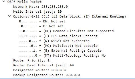 OSPF Hello Packets Deep Dive Network Lessons