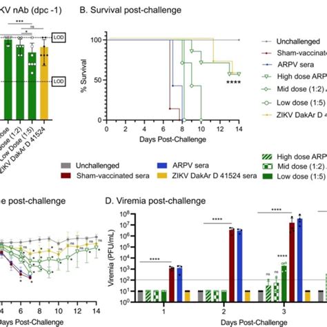 Passive transfer of ARPV/ZIKV-induced antibodies partially protects ...